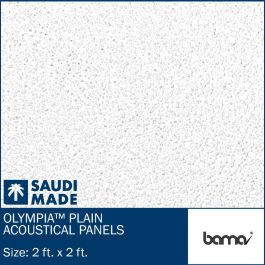 C-T Laminated Gypsum